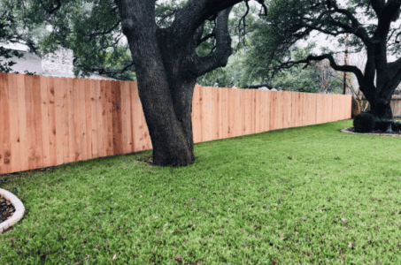 Vinyl vs Wood Fences: A Side-by-Side Comparison - Austex Fence