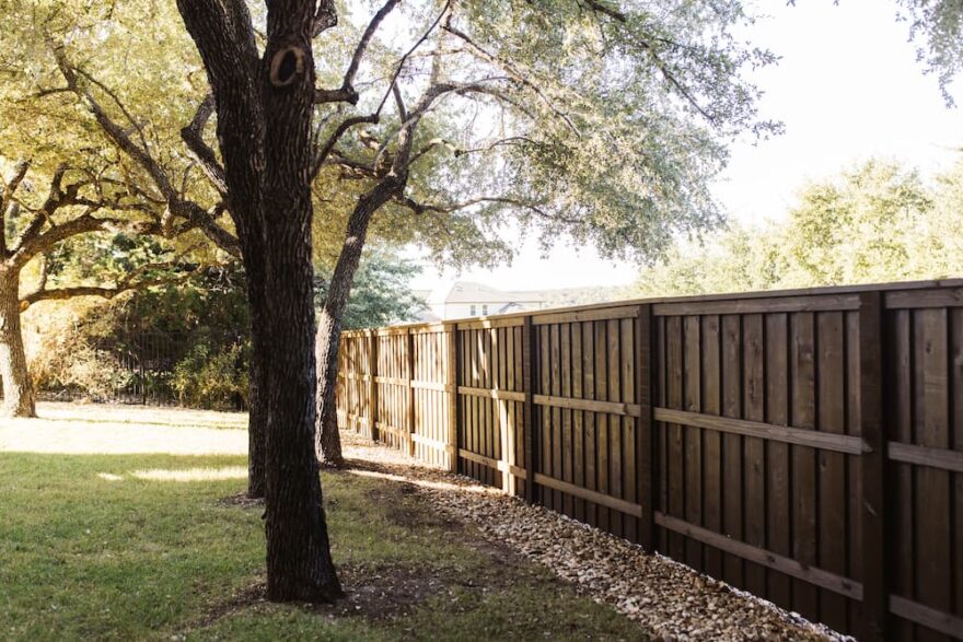 18 Dog Fence Ideas: Styles & Solutions for Every Yard & Dog